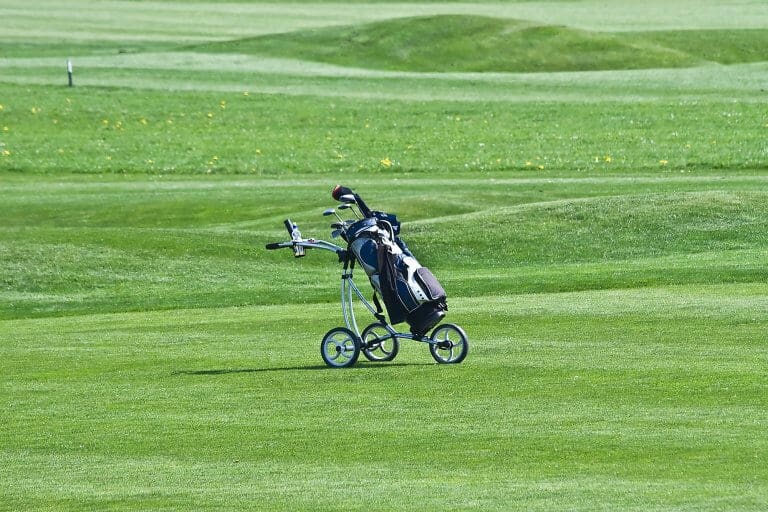 Top 15 Best Electric Golf Trolleys [2023] Complete Buying Guide