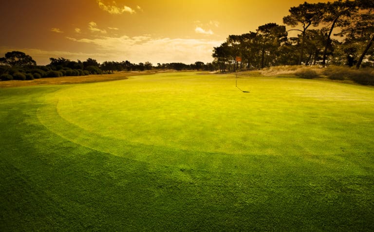 What Is Tee Time? (Everything To Know About Tee Time)