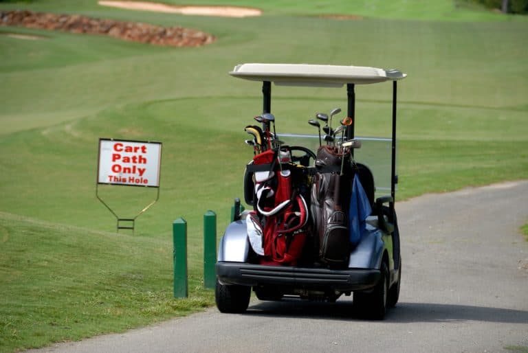 Top 10 Best Golf Cart Bags (Updated 2021 Buying Guide)