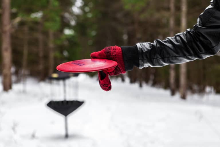 How Much Do Disc Golf Pros Make? (Earnings May Surprise You)