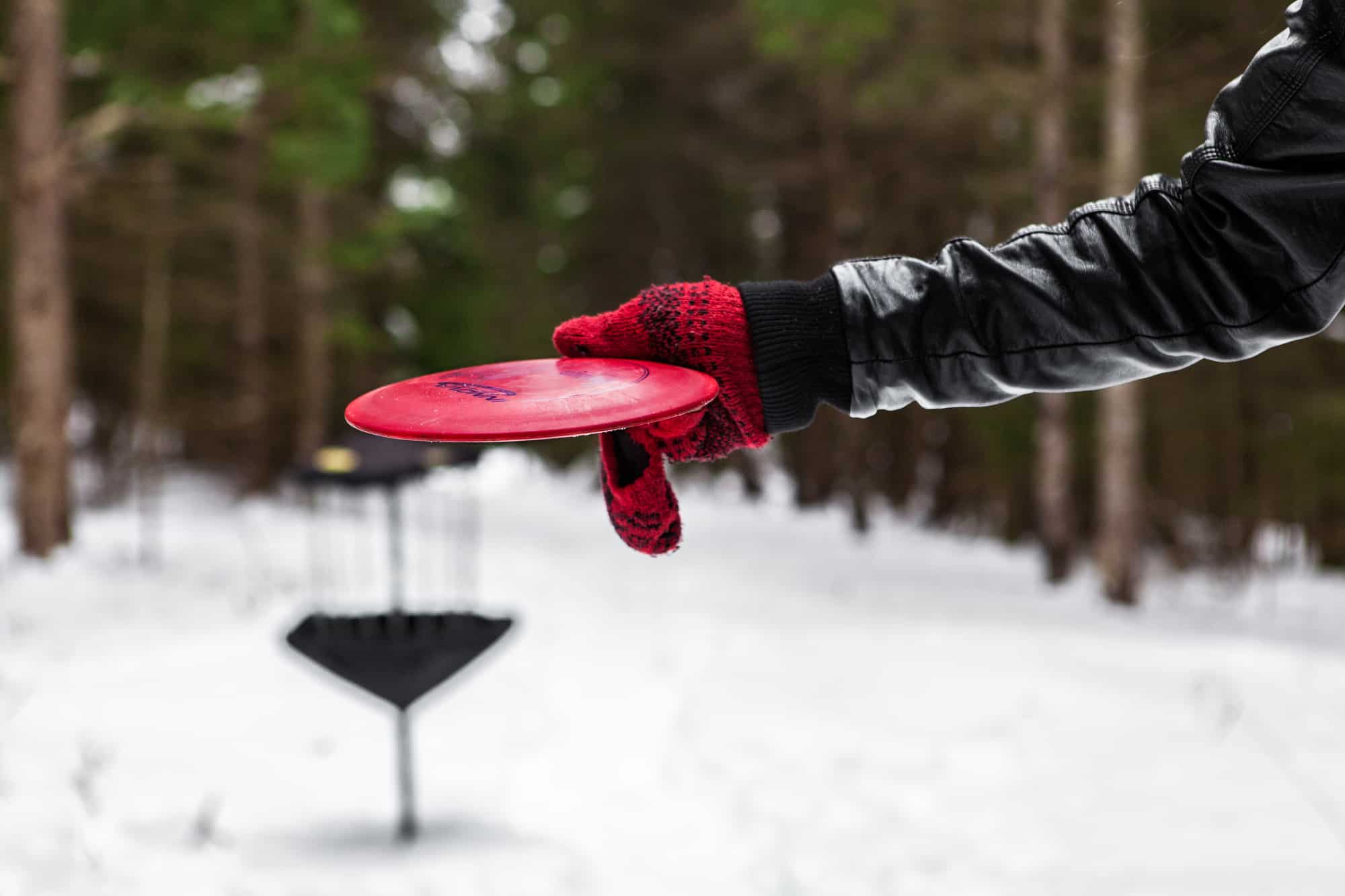 How Much Do Disc Golf Pros Make? (Earnings May Surprise You)