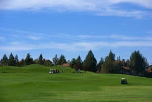 What Is An Executive Golf Course? (Differences, Benefits)