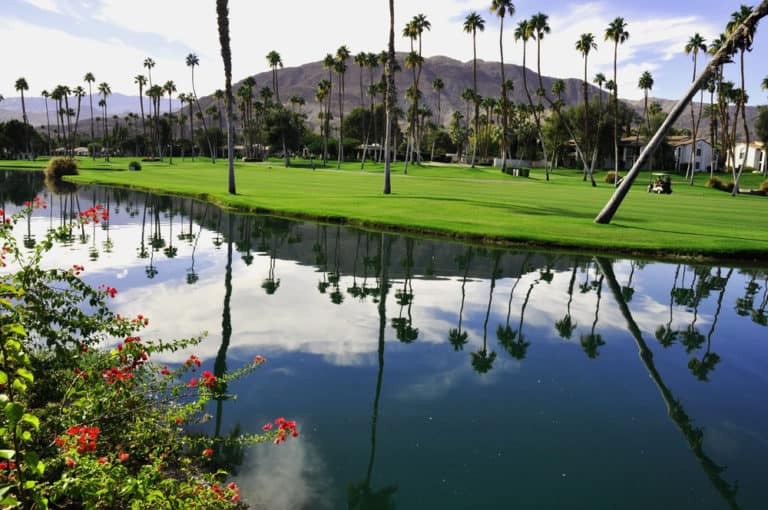 What Is An Executive Golf Course? (Differences, Benefits)